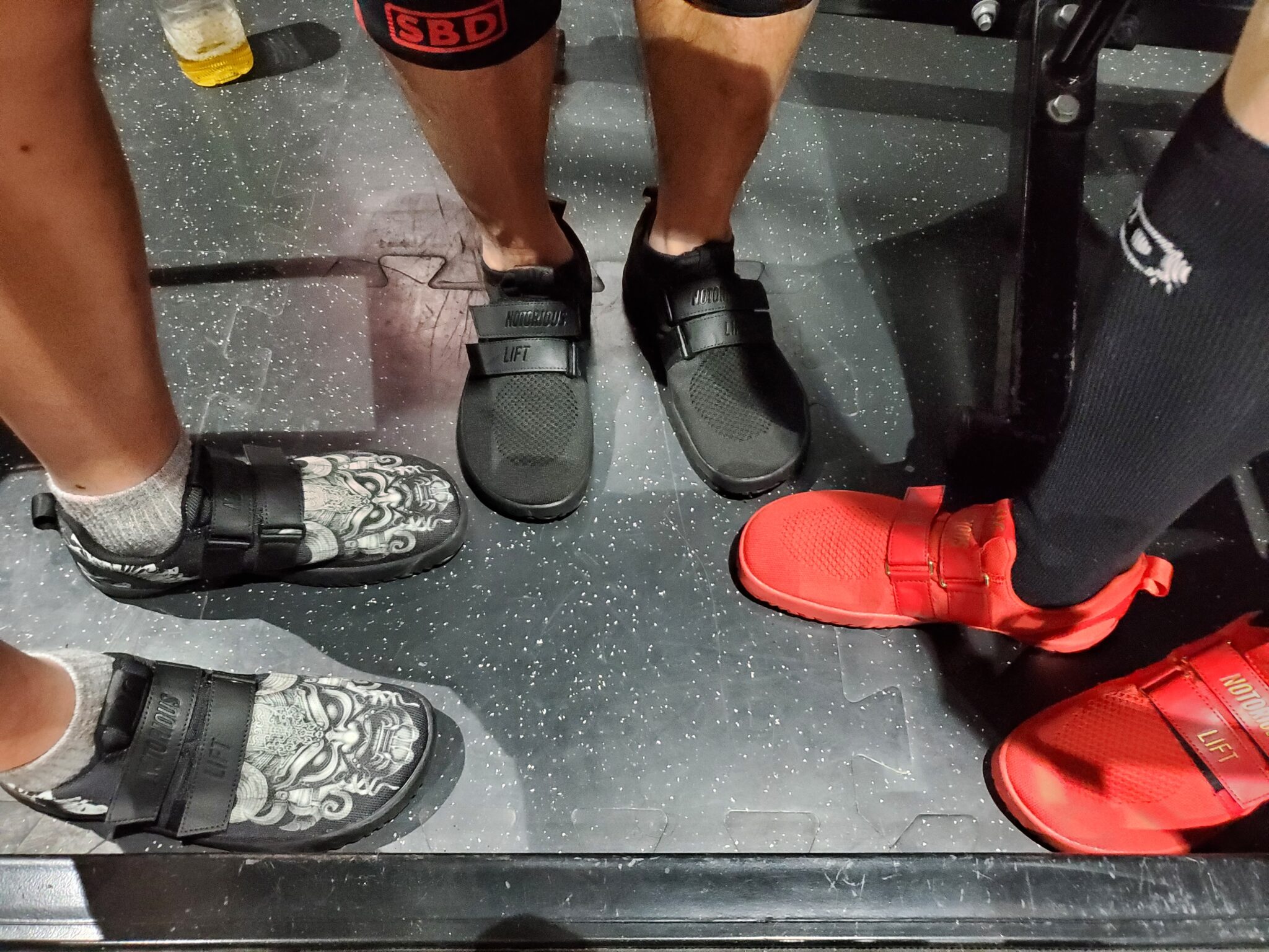 NOTORIOUS LIFT（ノートリアスリフト）SUMO SOLE GEN 3レビュー｜名もなきベンチプレッサー日記 | ナチュラルボディ ...
